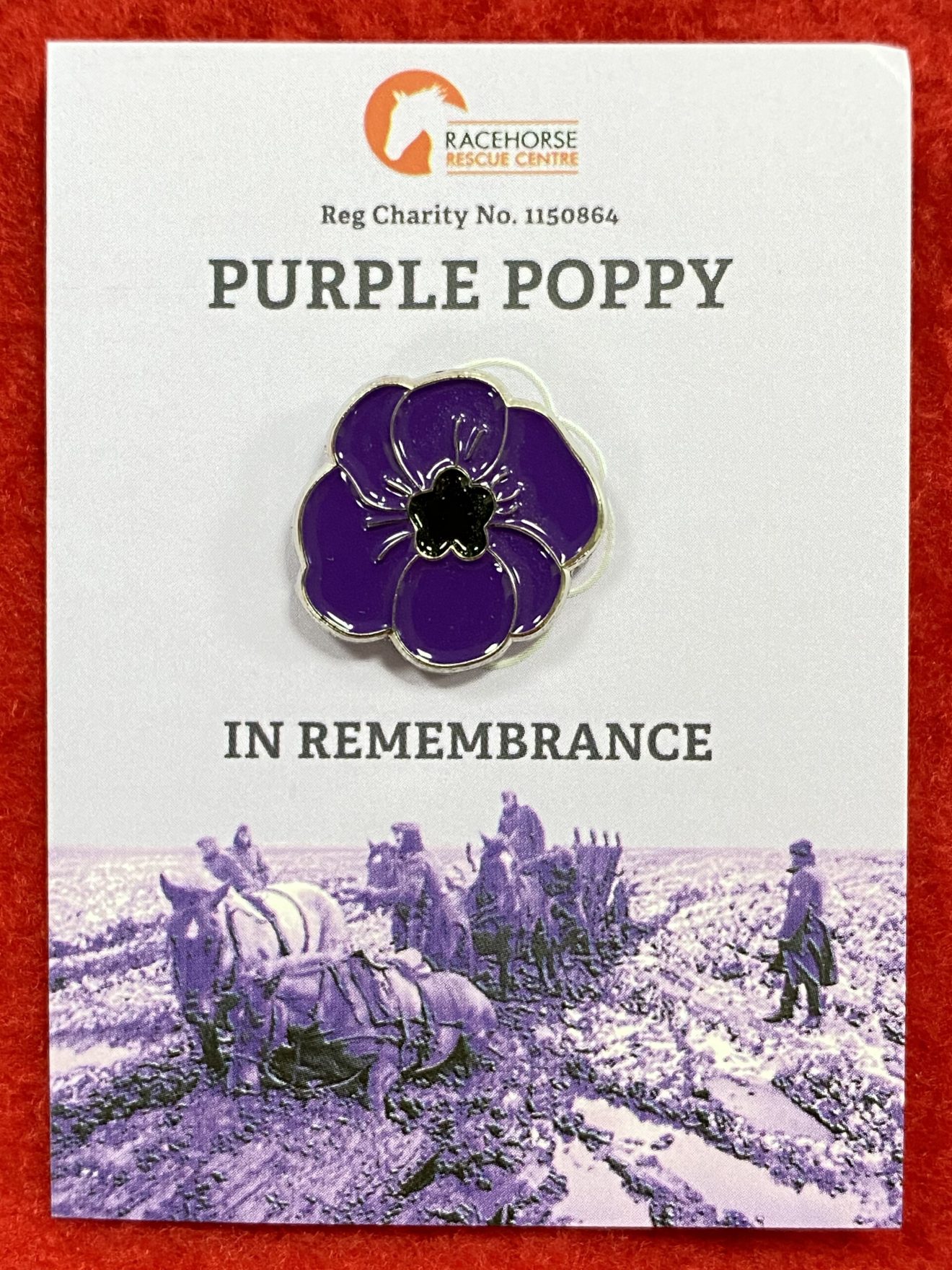 Racehorse Rescue Centre » Purple poppy badge
